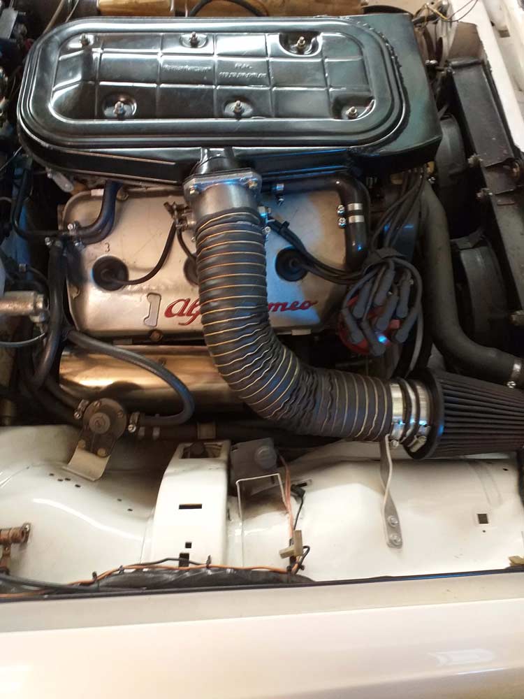 Alfa GTV6 3.0 South African Homologation Special - CS Racing Alfa Romeo ...